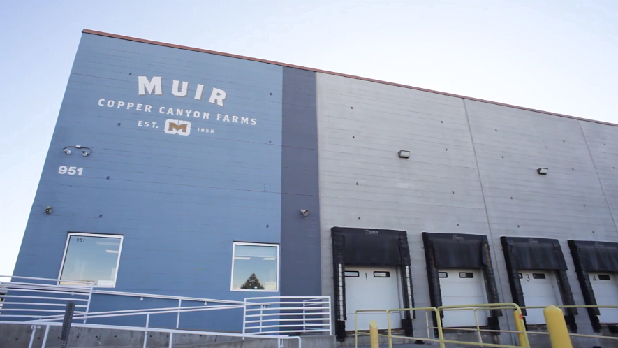 Video-Muir | Miatech